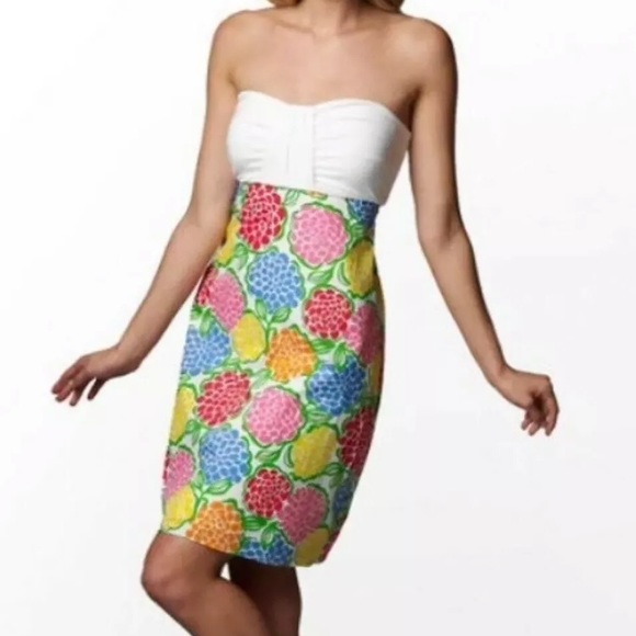Lilly Pulitzer | Dresses | Lilly Pulitzer Paterson Minnie Zinny Dress ...